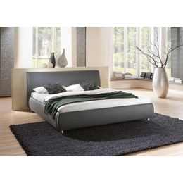 Pharao24.de Jugendbett aus Kunstleder Grau
