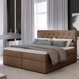 Pharao24.de Doppelbett Boxbett in Braun mit Bettkasten