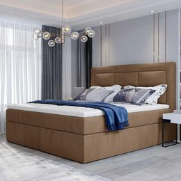 Pharao24.de Bett Stauraum Bett in Braun aus Samt