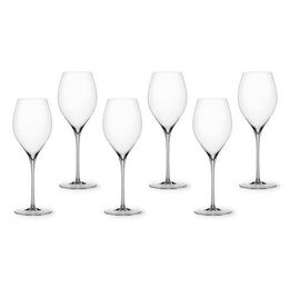 Spiegelau Sparkling Party - transparent