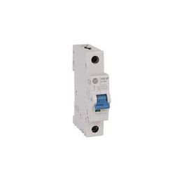 Allen-Bradley Miniatur-Leitungsschutzschalter, D, 2A, 440V, IP20 - 1492-SPM1D020