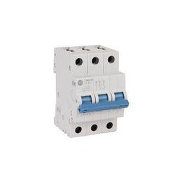 Allen-Bradley Miniatur-Leitungsschutzschalter, D, 3A, 440V, IP20 - 1492-SPM3D030