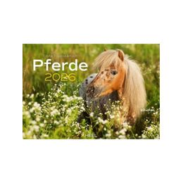 Heel Verlag Kalender - Pferde Kalender 2026 Wandkalender | Gr.: onesize
