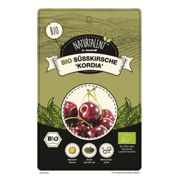 Naturtalent by toom Bio Kirsche 'Kordia', Busch 25 cm Topf