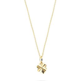 Guido Maria Kretschmer Jewellery Necklace female Gold size One Size