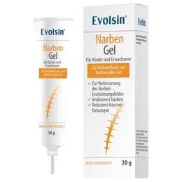 Evolsin Narben Gel 20 G