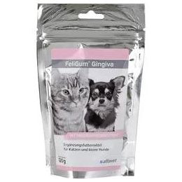 alfavet Feligum Gingiva Vet 120 G