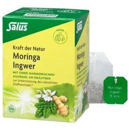 Moringa Ingwer Kr&auml;utertee kraft der Natur Salus 15 ST