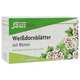 Weissdornbl&auml;tter mit Bl&uuml;ten Arzneitee Bio Salus 15 ST