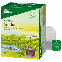 Gr&uuml;ner Tee Grosspackung Bio Salus 40 ST