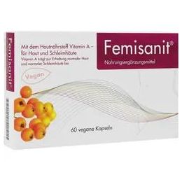 Femisanit 60 ST