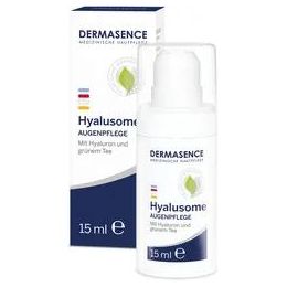 Dermasence Hyalusome Augenpflege 15 ML