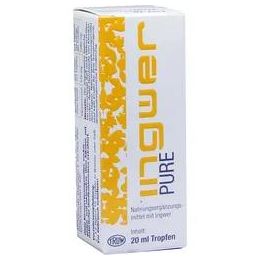Ingwer Pure 20 ML