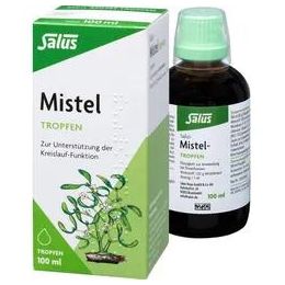 Mistel-Tropfen Salus 100 ML