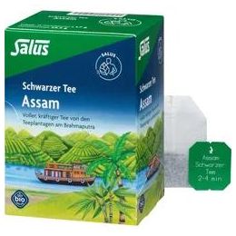 Assam Schwarzer Tee Bio Salus 15 ST
