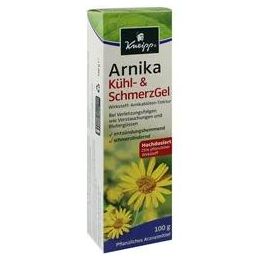 Kneipp Arnika K&uuml;hl- & Schmerzgel 100 G