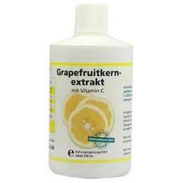 Sanitas Grapefruitkernextrakt 250 ML