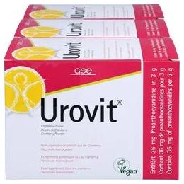 Gse Urovit Cranberry Pulver 270 G