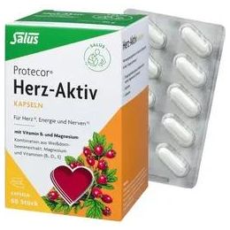 Salus Protecor Herz-Aktiv Kapseln 60 ST