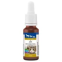 HAGER PHARMA Bachl&uuml;ten Tiere Tropfen Angst 20 ML