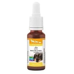 HAGER PHARMA Bachbl&uuml;ten Tiere Tropfen Erste Hilfe 20 ML