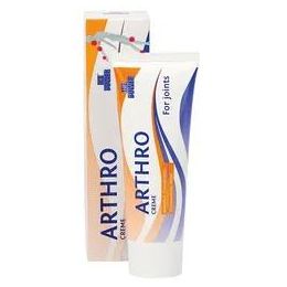 Ice Power Arthro Creme 60 G
