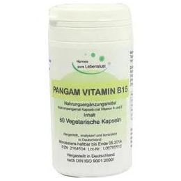 Pangam Vitamin B15 60 ST