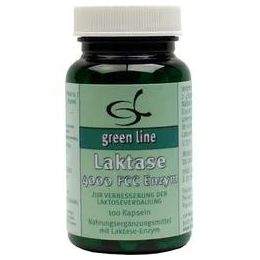 11 A Nutritheke Laktase 4000 Fcc Enzym 100 ST
