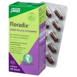 Salus Floradix Eisen Plus B-Vitamine 40 ST