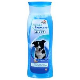 Axisis Hunde Shampoo Glanz mit Mandel&ouml;l 300 ML
