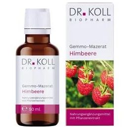 Gemmo-Mazerat Himbeere Dr. Koll Rubus Idaeus 50 ML