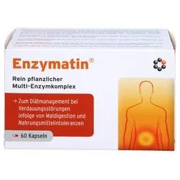 INTERCELL-Pharma GmbH Enzymatin 60 ST