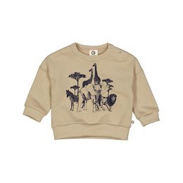 M&uuml;sli by GREEN COTTON M&uuml;sli By Green Cotton Sweatshirt Jungen Gr&ouml;&szlig;e 68 beige / schwarz