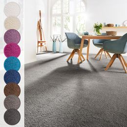 ANDIAMO Teppichboden &raquo;Sophie, Frisee-Velours, Made in Netherlands&laquo; rechteckig 12 mm H&ouml;he Uni Farben, Breite 400 cm oder 500 cm, strapazierf&auml;hig & pflegeleicht