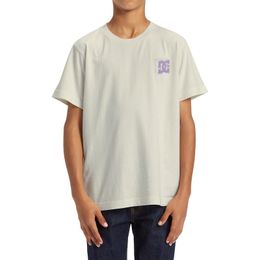 DC Shoes T-Shirt »Mid Century« White Enzyme Wash 16(165-172cm) 16(165-172cm) Kollektion: Plaza-Kollektion