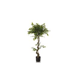 hjh OFFICE Kunstpflanze FICUS I Kunststoff, Stoff