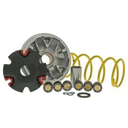 Variomatik Malossi Multivar 2000 für Suzuki Address 100