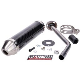 Endschalld&auml;mpfer Giannelli Carbon f&uuml;r Beta RR Enduro Motard 50 18-20