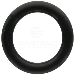 O-Ring Castelgarden, f&uuml;r Wasseranschluss
