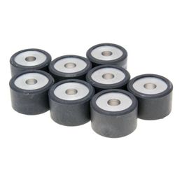 Variomatikgewichte Polini 25x16mm - 14,0g - 8Stk