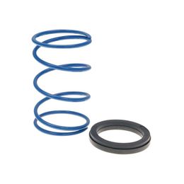 Gegendruckfeder Polini Evo-Slider -30% f&uuml;r Piaggio
