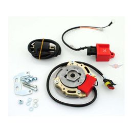 Innenrotor Elektronik Z&uuml;ndung 16mm x 11,5mm 200g f&uuml;r Hercules Prima 2, 3, 4, 5, GT, GX, KTM Bora
