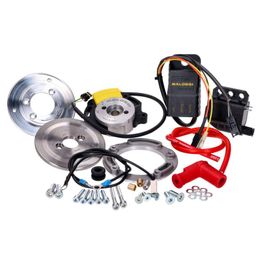 Innenrotor Z&uuml;ndung Malossi MHR Team II f&uuml;r Aprilia, Derbi, Gilera, Piaggio 50ccm LC