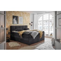 Boxspringbett ED EXCITING DESIGN "Fanes mit Komforteinstiegshöhe von 73cm", grau (dunkelbraun, anthrazit), B:190cm L:212cm, 100% Polyester, Komplettbetten, erhältlich in 180x200cm, inkl. Bettkasten und 7cm Visco-Topper, Topseller