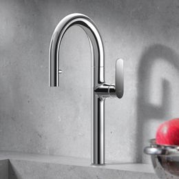 Fortis Mosa extend Küchenarmatur mit 2 Strahlarten, schwenkbar, Auslauf ausziehbar, 0959100PC,