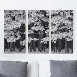 Bilderwelten 3-teiliges Leinwandbild - Querformat Wald mit Raureif in &Ouml;sterreich