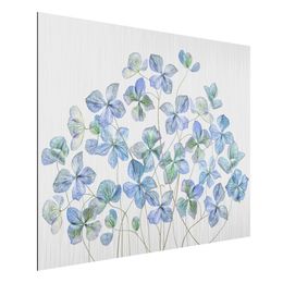 Bilderwelten Alu Dibond Outdoor Bild Blumen blau Landhaus Aquarell - Blaue Hortensienbl&uuml;ten - Deko Wohnzimmer Schlafzimmer