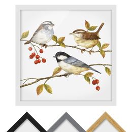 Bilderwelten Bild mit Rahmen Tiere weiss Vintage inkl. Rahmung - V&ouml;gel und Beeren - Meisen - Retro Wohnzimmer Schlafzimmer