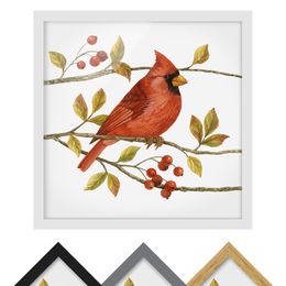 Bilderwelten Bild mit Rahmen Tiere weiss Vintage inkl. Rahmung - V&ouml;gel und Beeren - Rotkardinal - Retro Wohnzimmer Schlafzimmer