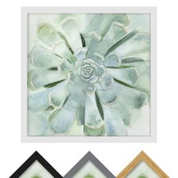 Blumen Bild mit Rahmen Sukkulente Aquarell Hell